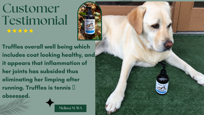 Customer Tails – Provex Australia