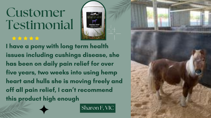 Customer Tails – Provex Australia