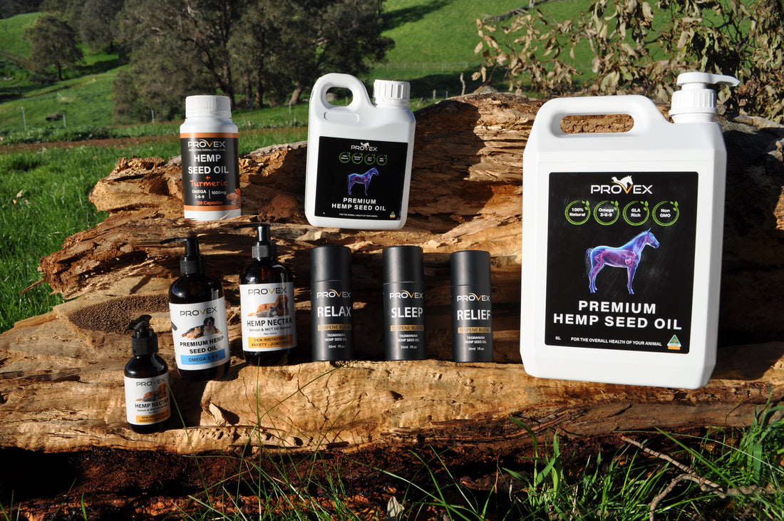 Provex Australia | Aussie Hemp
