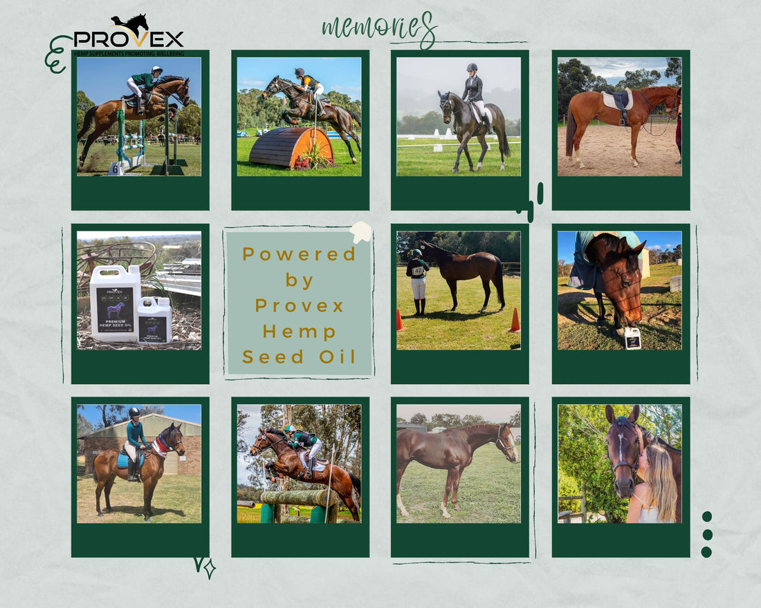 Customer Tails – Provex Australia